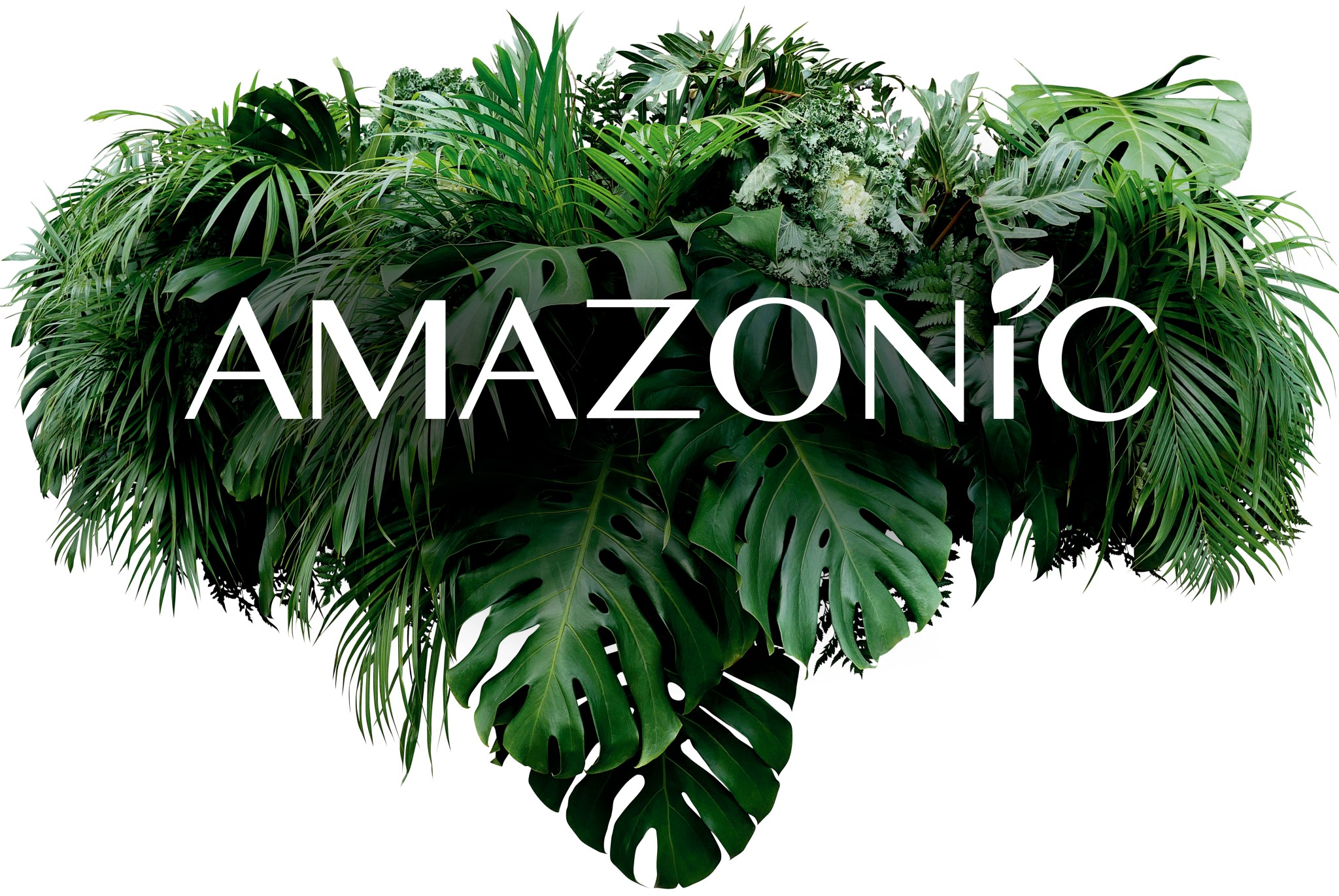 La marca - Amazonic